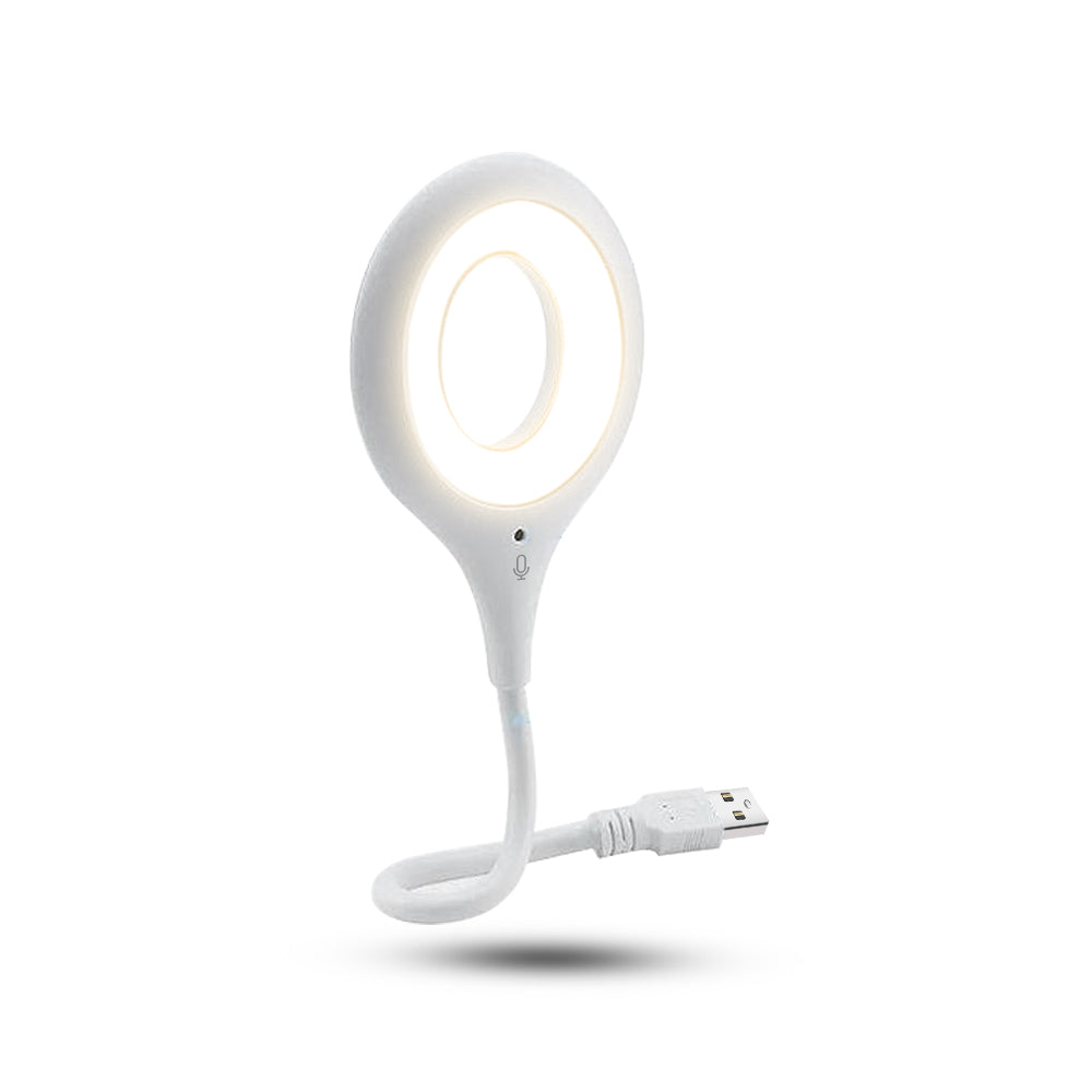 Voice Control Light